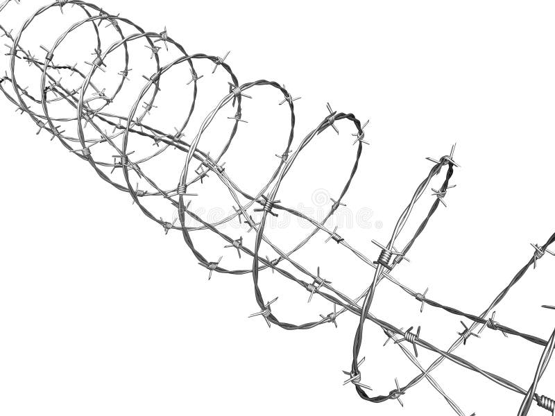 Barbed Wire Curled in Spiral Stock Illustration - Illustration of jail ...