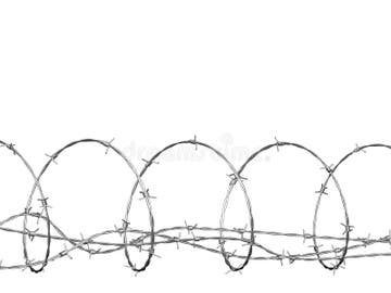 Barbed Wire Curled in Spiral Stock Illustration - Illustration of jail ...