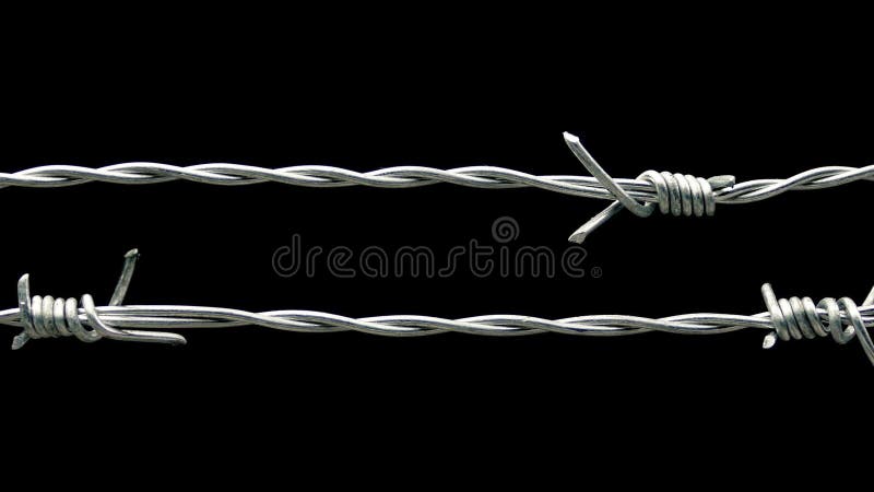 Barbed Wire Dolly Shot stock footage. Video of danger - 131109906