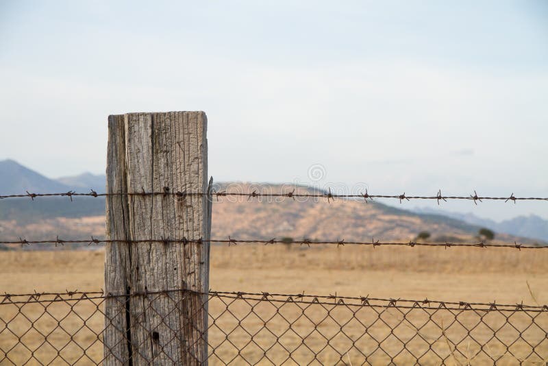 Barbed Wire Entanglement with Wooden Post Stock Image - Image of field ...