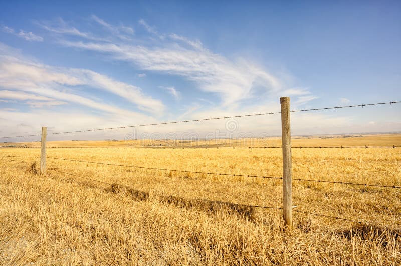 Barbed Wire Fence Along Farmland in the Spring Stock Image - Image of ...
