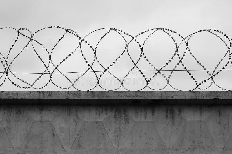 Barbed wire fence stock photo. Image of prohibited, access - 52703166