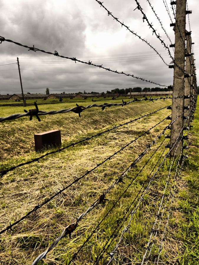 Barbed Wire Fence stock image. Image of countryside, dramatic - 73688001
