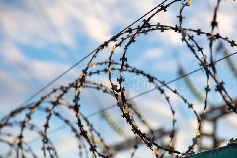 Barbed Wire on the Fence in the Early Morning. Background Stock Image ...