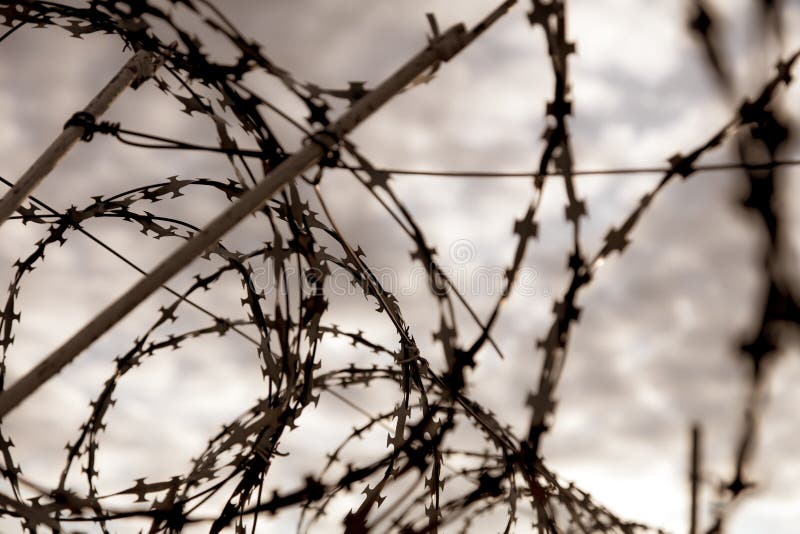 Barbed Wire on the Fence in the Early Morning. Background Stock Photo ...