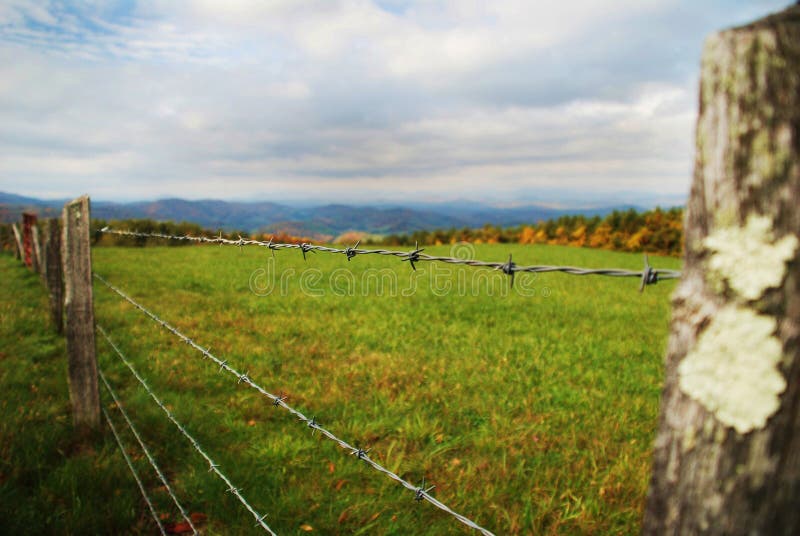 Barbed Wire Fence and Field Stock Image - Image of separated, fencepost ...