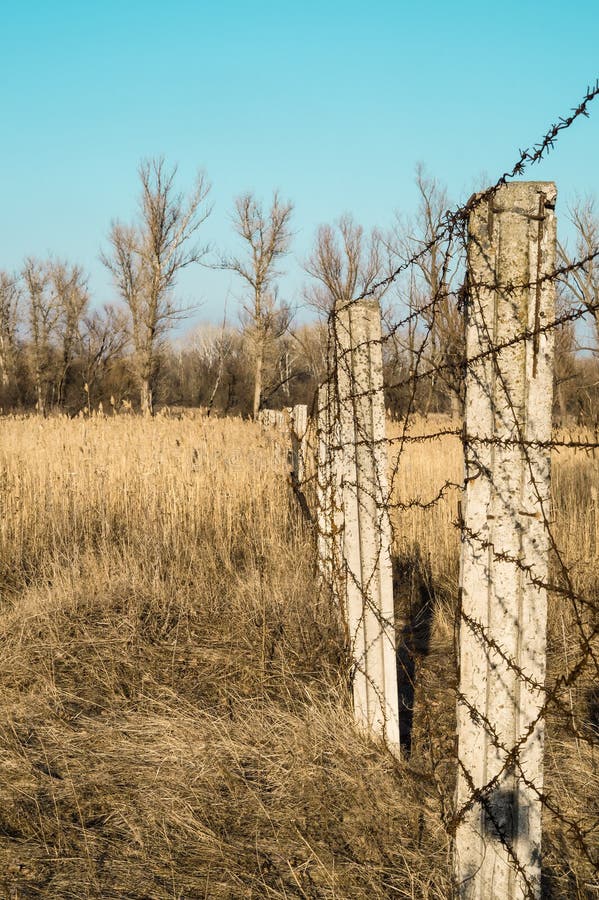 Barbed Wire Fence in a Field Stock Image - Image of moody, point: 53710713