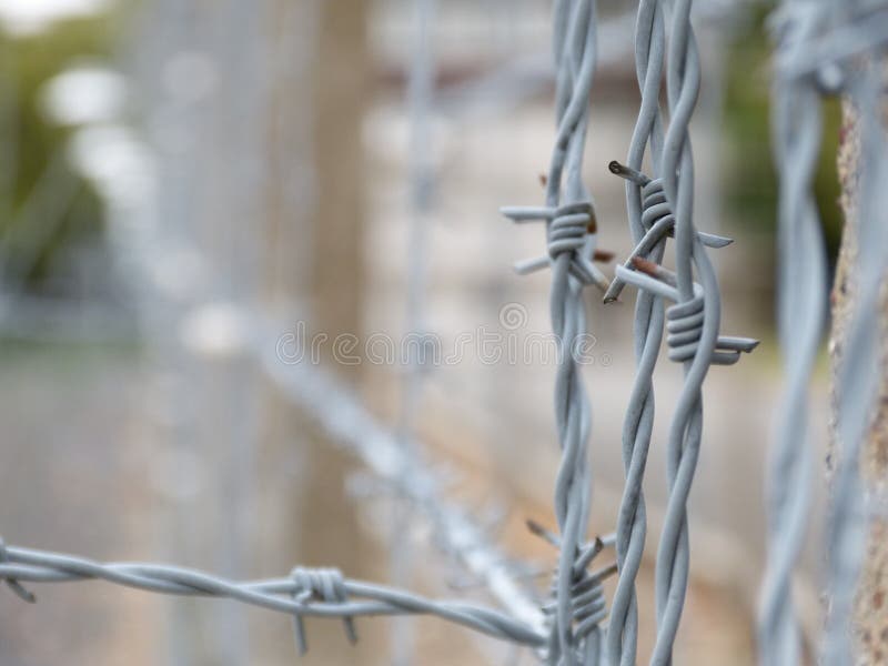 Barbed Wire Fence with Focused Part with Vertical Elements Stock Photo ...