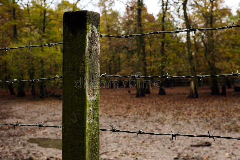 2,684 Barbed Wire Forest Stock Photos - Free & Royalty-Free Stock ...
