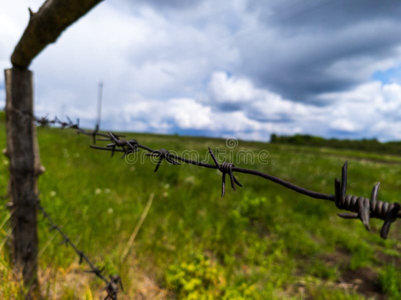 A Barbed Wire Fence in the Middle of a Grassy Field Stock Photo - Image ...