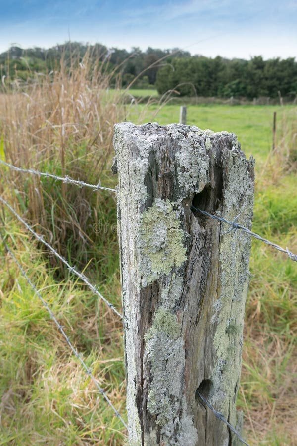 Fence post stock photo. Image of barbedwire, farm, field - 34233288