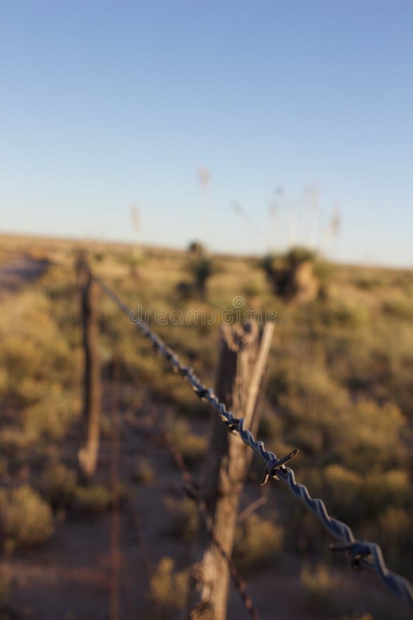 Barbed wire Fence stock photo. Image of country, ranch - 102745044