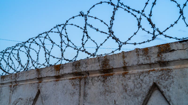 Barbed Wire on the Fence for Security Stock Image - Image of clover ...