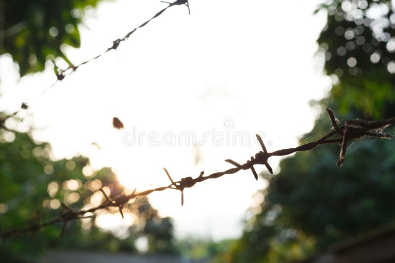 Barbed Wire Fence with Sharp Spikes Stock Photo - Image of obstruction ...