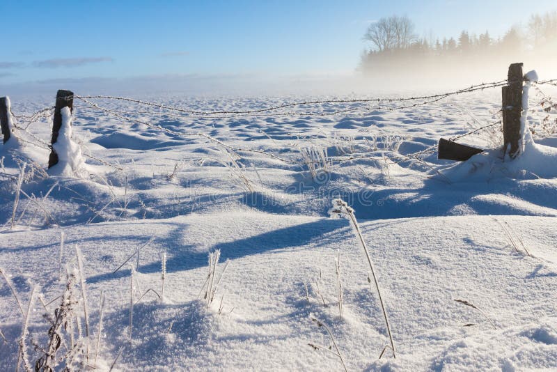 Barbed Wire Fence with Snow Covered Ground Stock Image - Image of ...