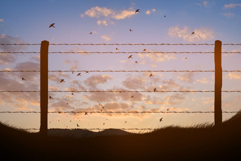401 Barbed Wire Fence Night Photos - Free & Royalty-Free Stock Photos ...