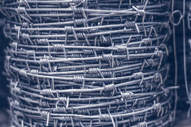 Barbed Wire for the Fence, Wound into a Roll Stock Image - Image of ...
