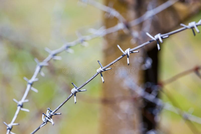 A String of Barbed Wire on a Farm Fence Stock Image - Image of close ...