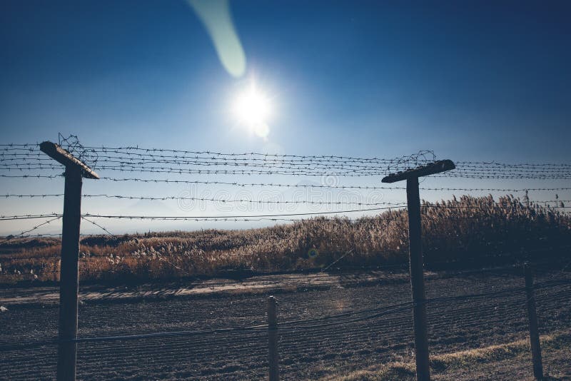 Barbed wire and field stock image. Image of metal, wire - 197061421