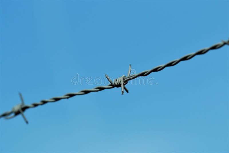 Barbed Wire in Front of Blue Sky Stock Photo - Image of savety, twisted ...