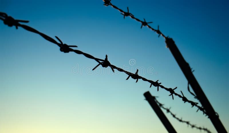 Barbed Wire stock photo. Image of barricade, death, barrier - 68736658