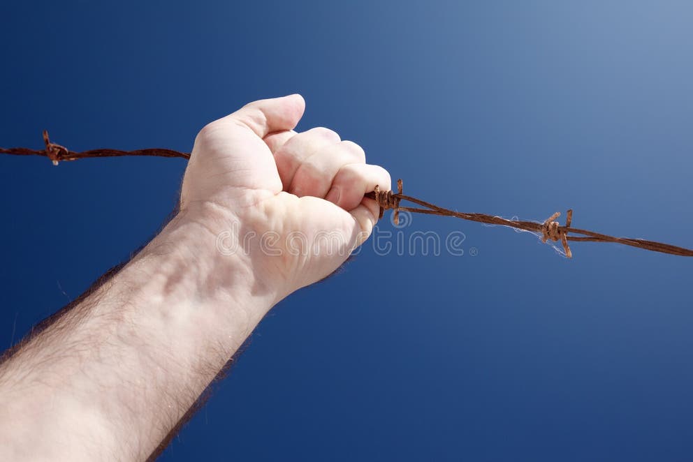 Barbed wire stock image. Image of male, barbwire, hand - 37243093