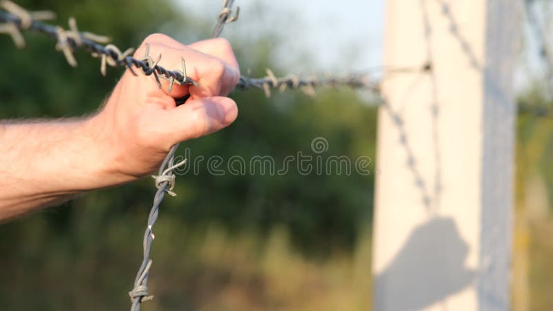 Barbed wire and hand stock footage. Video of border - 259126250