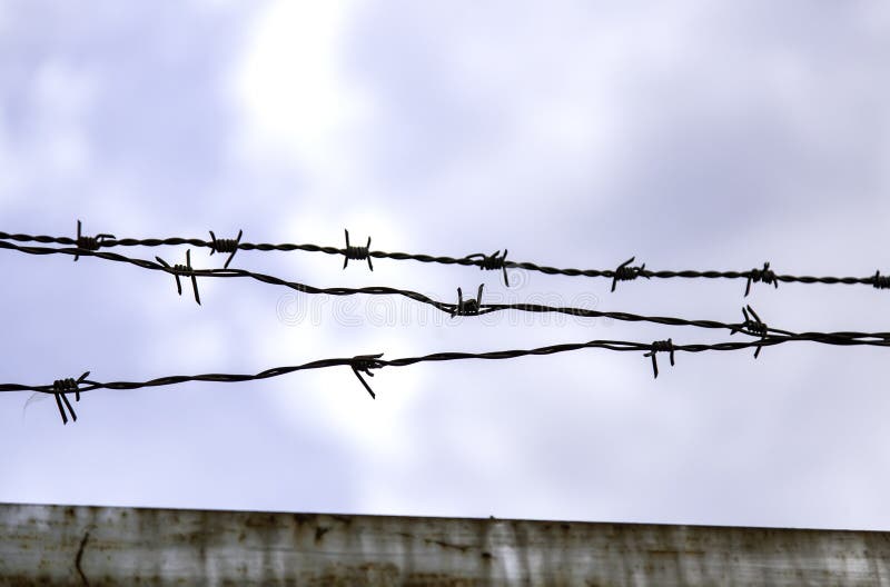 Barbed wire immigration stock image. Image of protection - 216938107