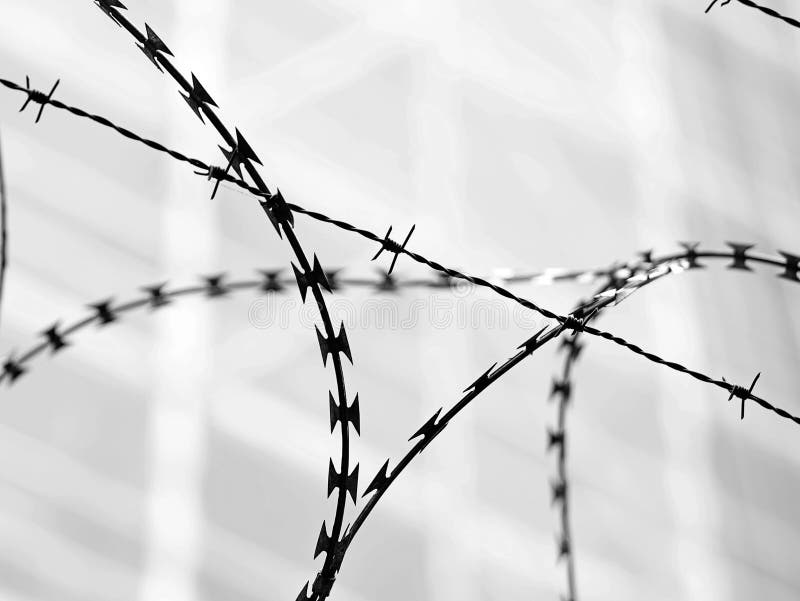 Barbed Wire of an Impassable Border with Black and White Tones Stock ...