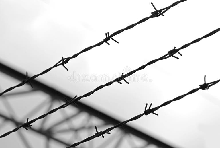 Barbed Wire with Thorns on the Impassable Border that Cannot Be Crossed ...