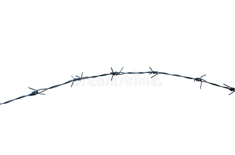 Barbed wire isolated stock photo. Image of guard, edge - 107338326