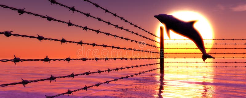 Leaping Dolphin stock illustration. Illustration of gold - 4124844