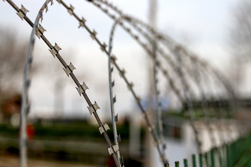Barbed Wire Mesh stock image. Image of safety, steel - 100338925
