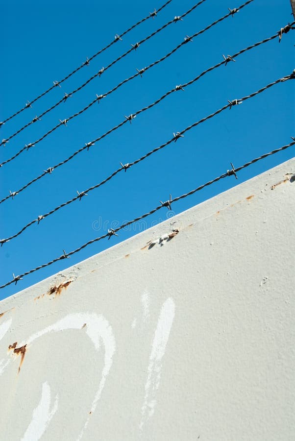 Barbed Wire on a Metal Gate Stock Photo - Image of sharp, cage: 184760146