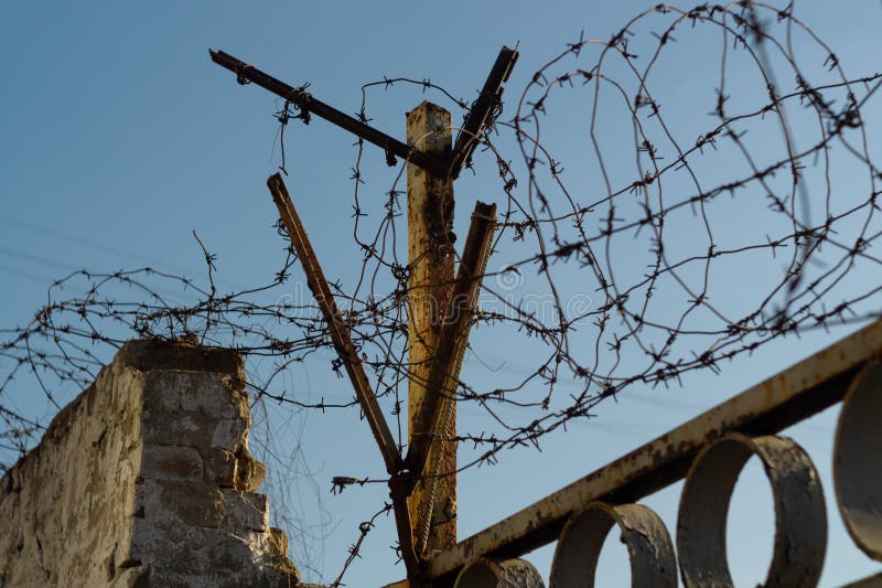 Barbed Wire of the Military Unit. Stock Photo - Image of peace ...