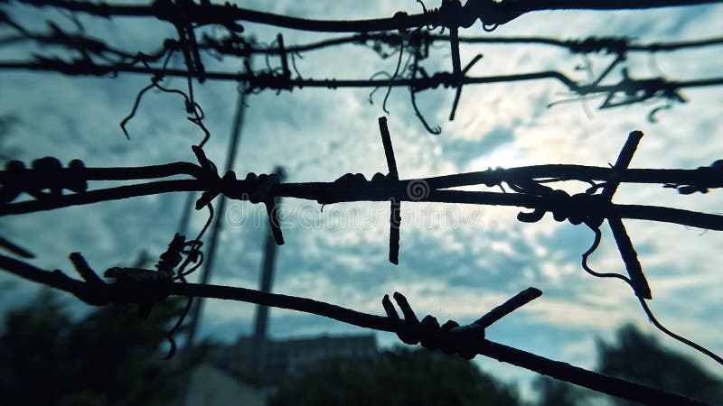 Barbed Wire Moving Background Stock Video - Video of evening, light ...