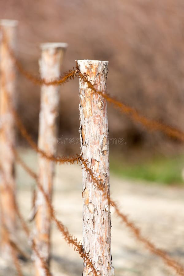 Barbed wire on nature stock image. Image of isolation - 97844139