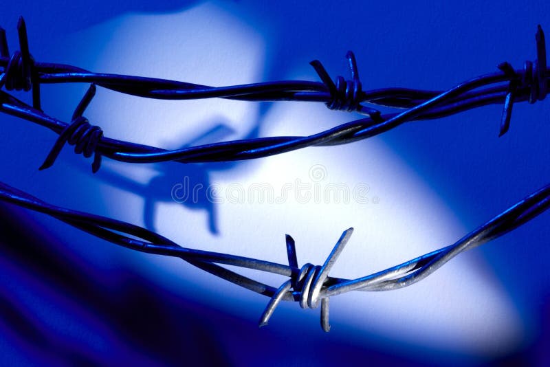 Barbed wire at night stock photo. Image of dangerous - 12595686