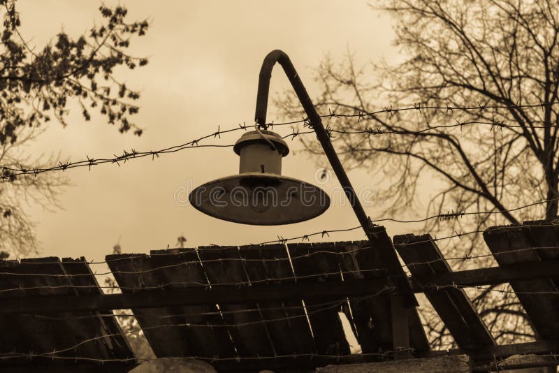 Barbed wire stock photo. Image of freedom, barbwire, fence - 52012180