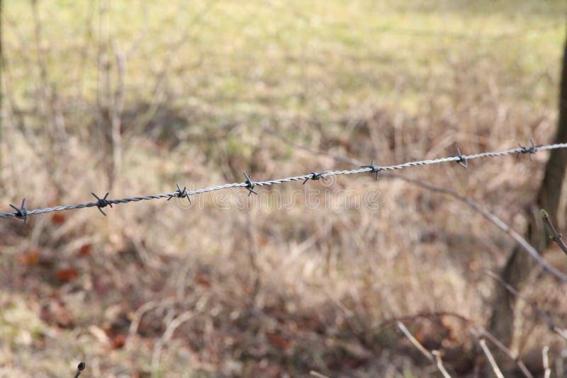 Barbed wire stock image. Image of barbed, scary, scar - 102154211