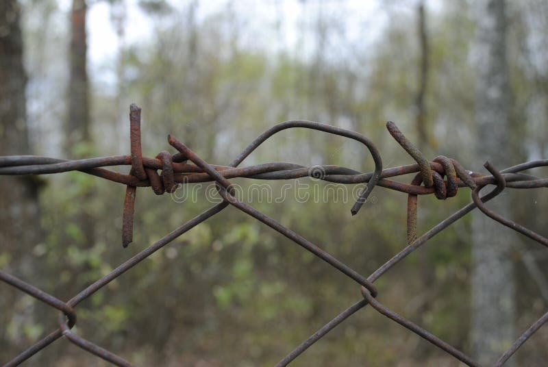 Barbed Wire on the Old Chain-link Fence. Stock Image - Image of ...