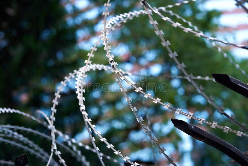 The Barbed Wire Over the Fence. Protection Against Illegal Entry Stock ...