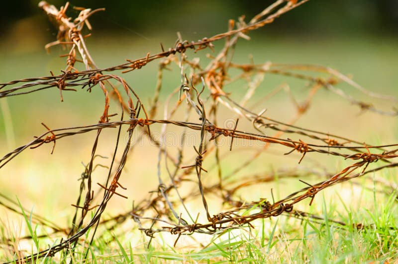 Barbed Wire Over Green Grass Stock Photo - Image of abstract, texture ...