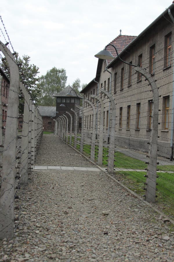 Barbed wire on poles editorial stock photo. Image of pylon - 35074803
