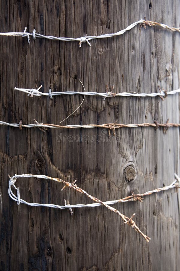 Fence Post and Barbed Wire stock photo. Image of post - 5706272