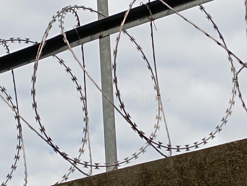 Barbed Wire in a Prison or in the Army. Sharp Military Security Fence ...