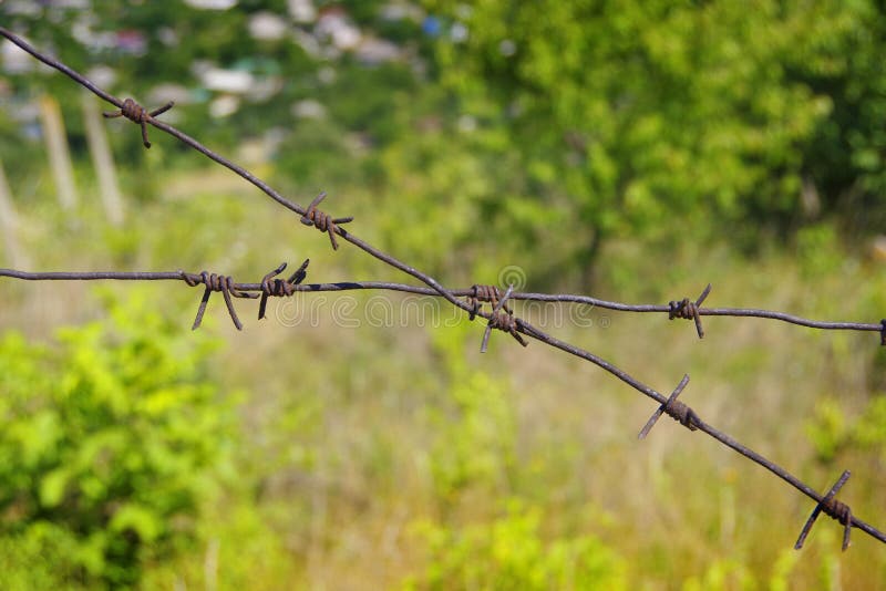 Barbed Wire that Prohibits Access To Some Area. Stock Photo - Image of ...