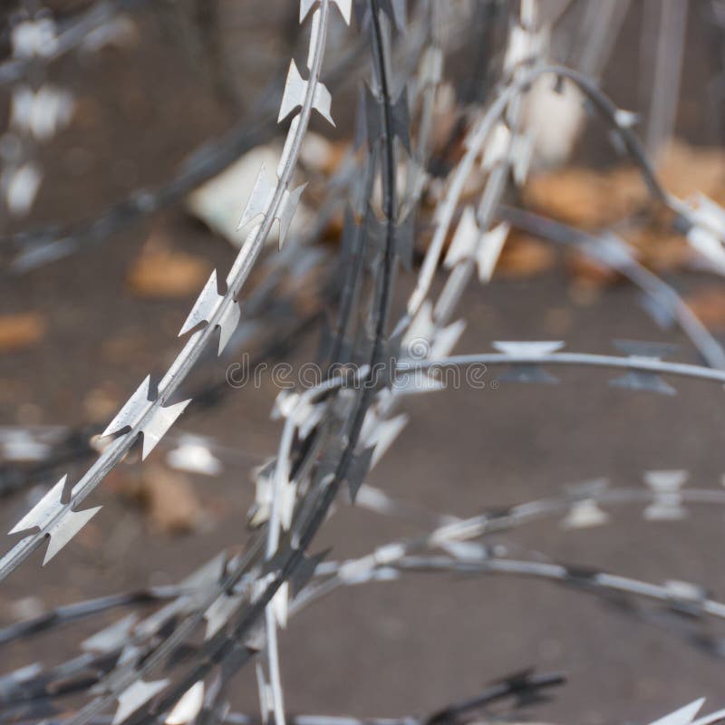 Barbed wire stock image. Image of spike, razor, metal - 37267583