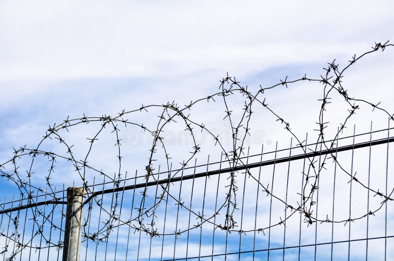 Barbed Wire. Restriction Of Freedom. Prison Fence. Stock Photo - Image ... Barbed Wire. Restriction Of Freedom. Prison Fence. Stock Photo - Image ...