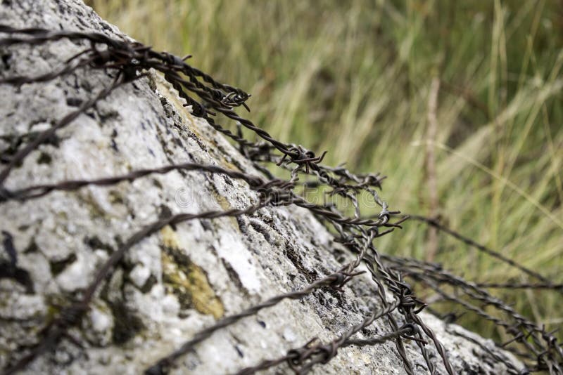 Barbed wire stock image. Image of fence, boundary, danger - 162703907